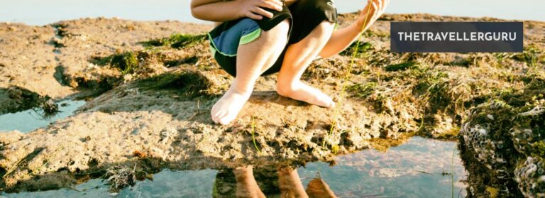 6 Best Tide Pools In California For Rock Hopping In 2025