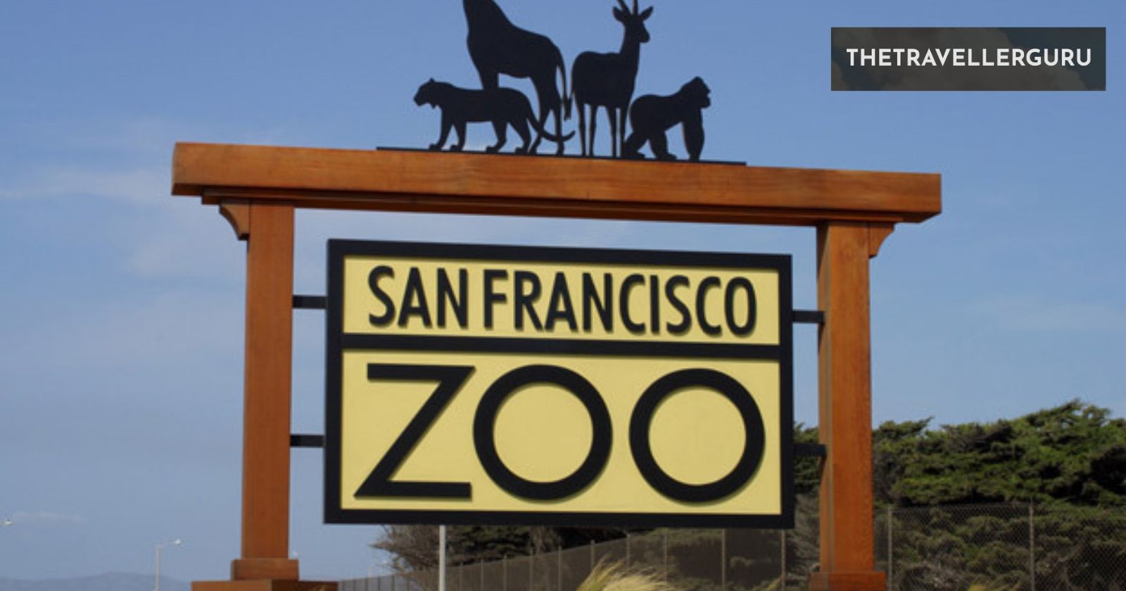 10 Best Zoos In California In 2025